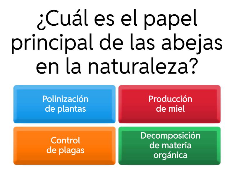 Las abejas - Quiz