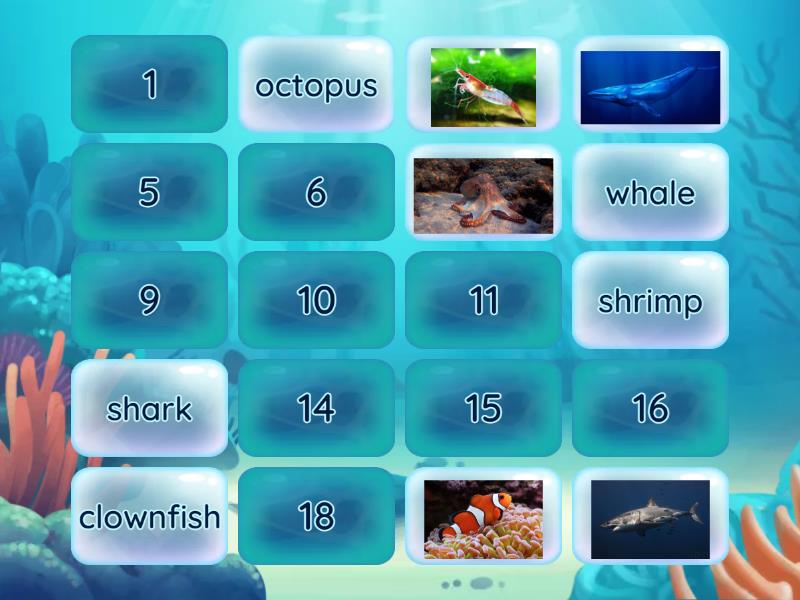 Sea Animals Matching Game - Matching pairs