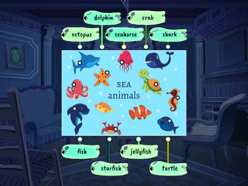 ocean animals - - Labelled diagram