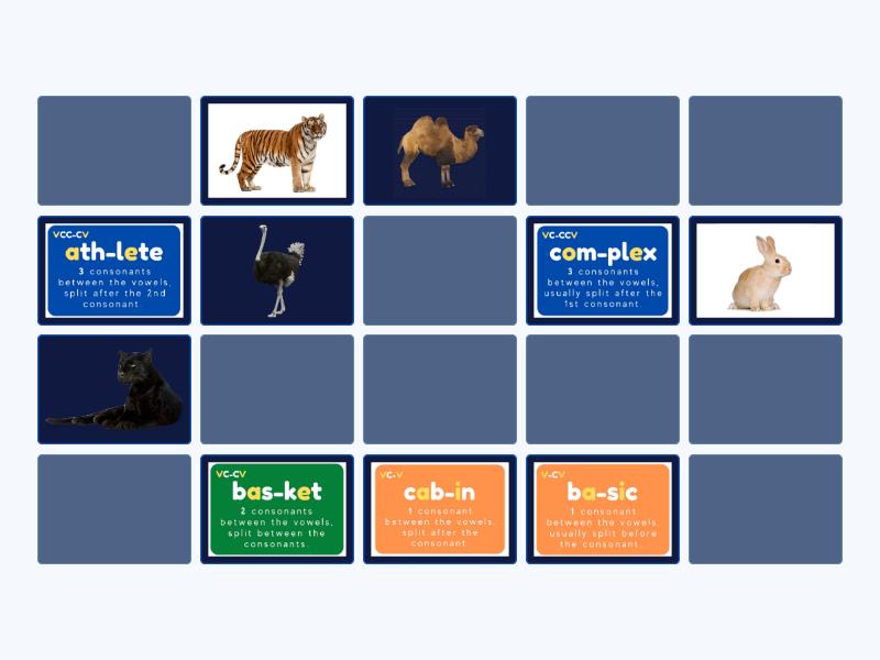 Syllable Division Patterns Matching Pairs