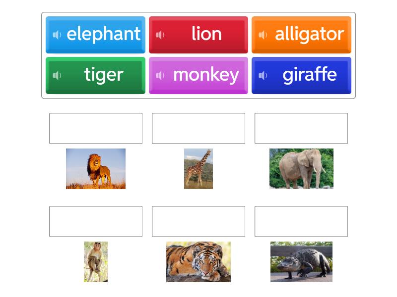 Wild animals - Match up