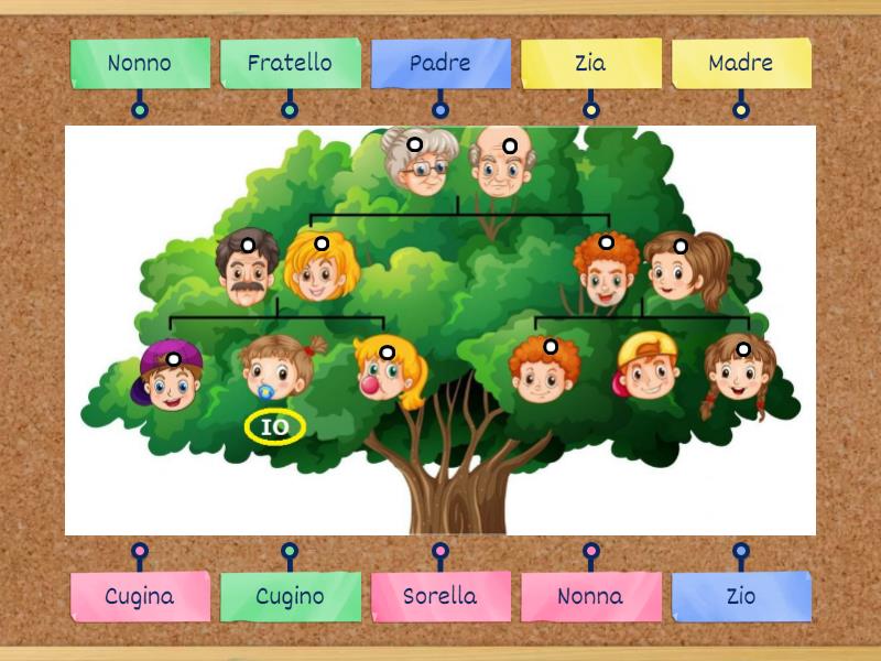 Quizlet n.4: La famiglia (Family Tree) - Labelled diagram