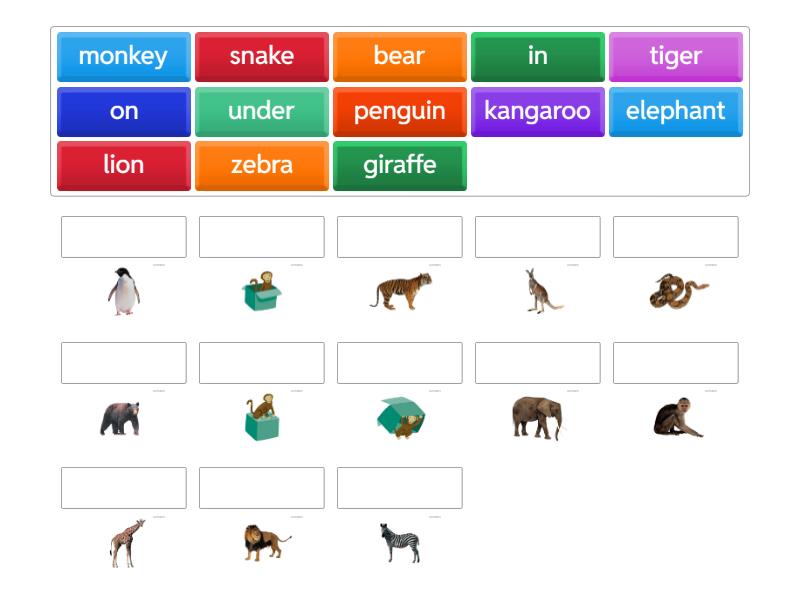 Everybody up 1- Unit 6 lesson 2 - Match up