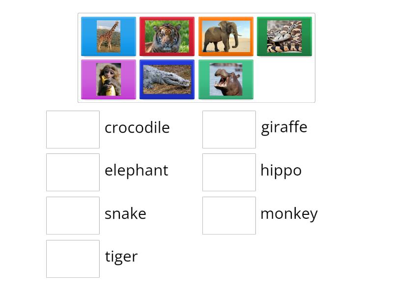 Wild animals - Match up
