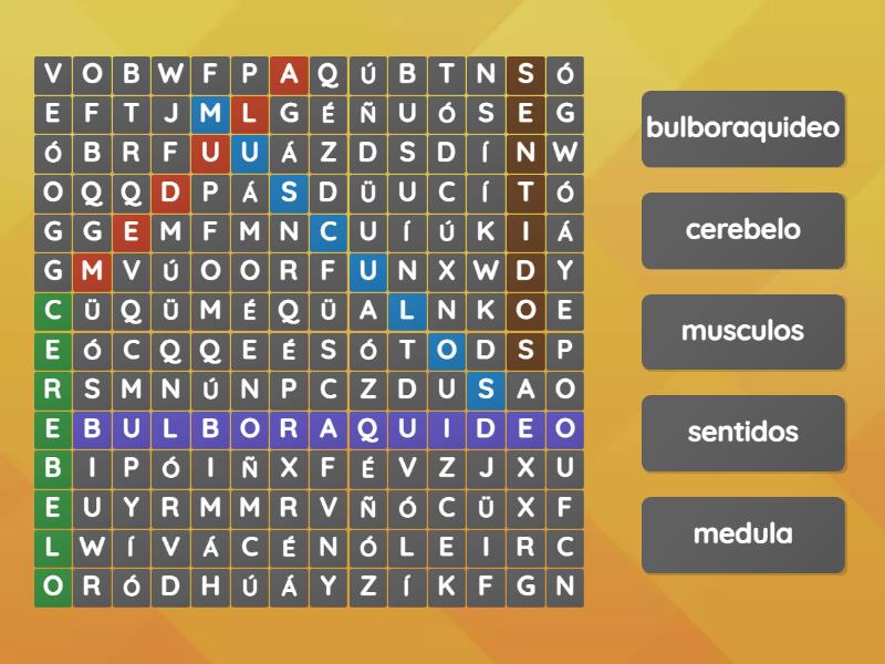 sistema nervioso - Sopa de letras