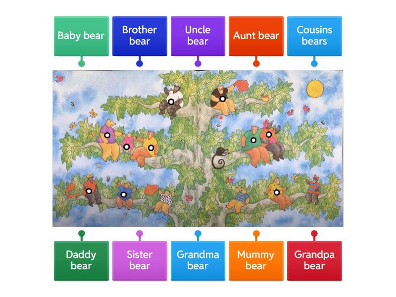 Bear's busy family - Labelled diagram