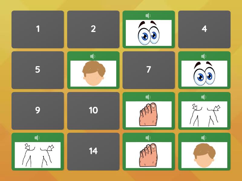 Parts of the body memory game - Matching pairs