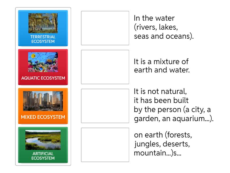 THE ECOSYSTEM - Match up