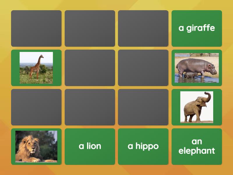 P.1 2nd term Zoo Animals - Matching pairs