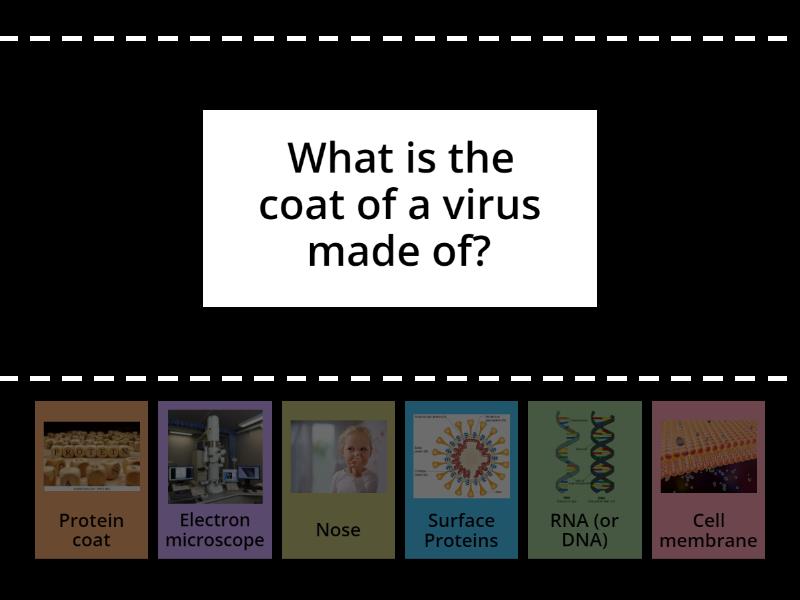 Virus - Find the match