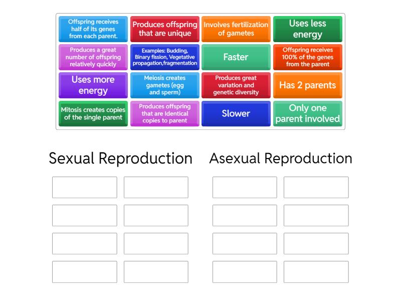 Sexual and Asexual Reproduction - Group sort