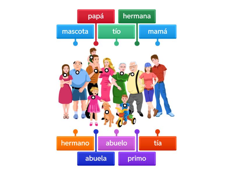 familia vocabulario - Labelled diagram