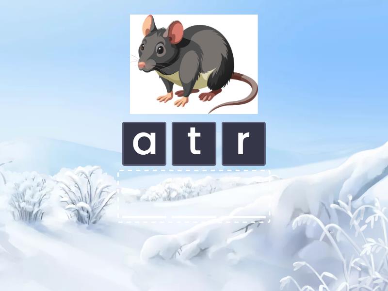 SM 1 Unit 3 animals - Anagram