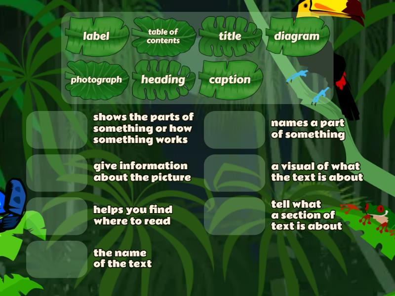 Text Features - Match up