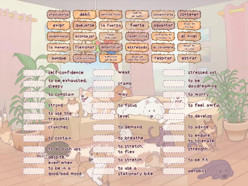 Autentico 3 Cap 3 a ¿ Qué haces para estar en forma? Vocab 2 - Match up