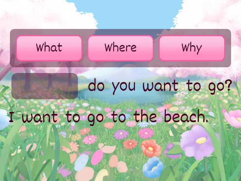 Express 3A Ch.4 Where/Why/What - Complete the sentence