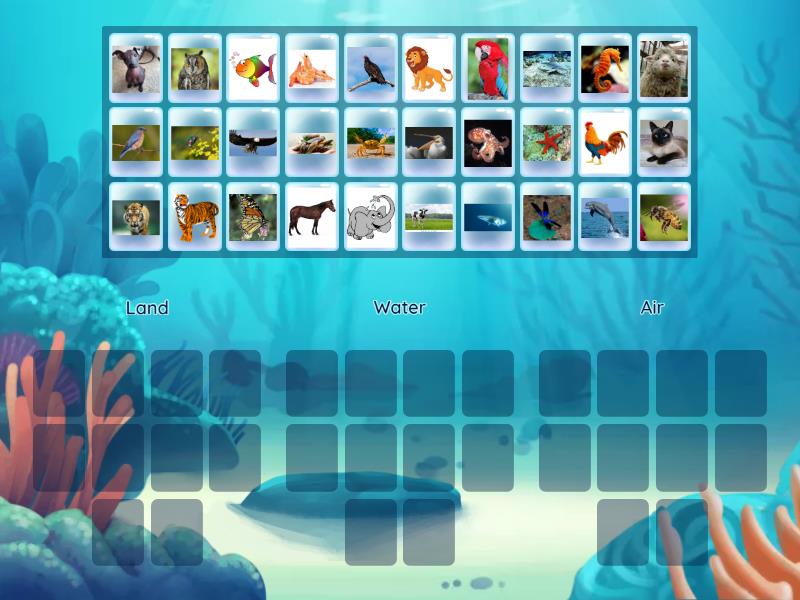 Animals that live in land, water and air - Group sort
