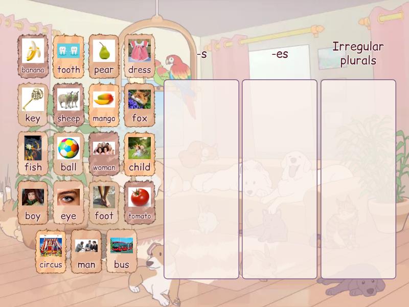 AS1 Unit 10 Plurals - Group sort