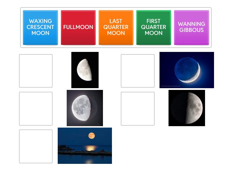 PHASES OF THE MOON - Match up