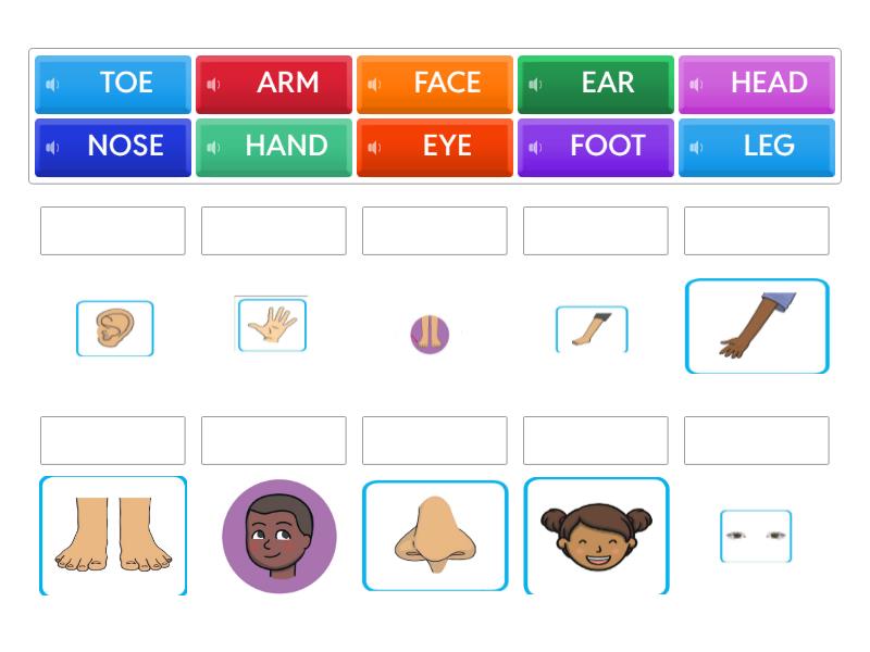 BODY PARTS - Match up