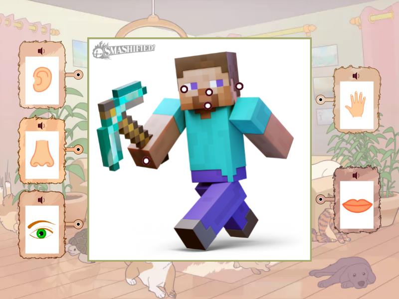 Body parts / Minecraft - Labelled diagram