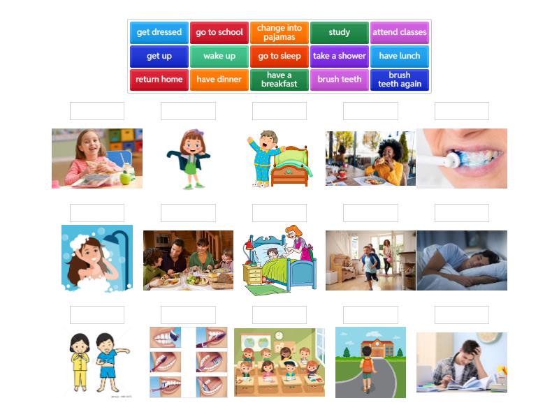 Daily Routine - Match up