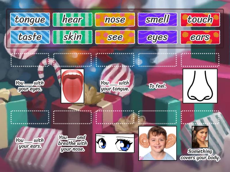 Five senses Vocabulary - Match up