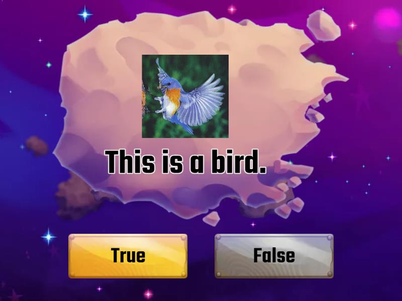 Pets - True or false