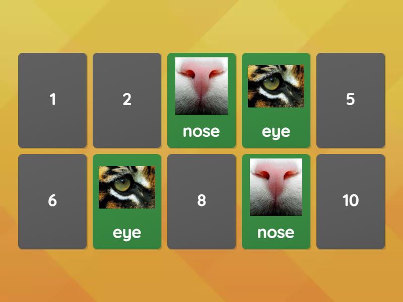 Animals and their faces - Matching pairs