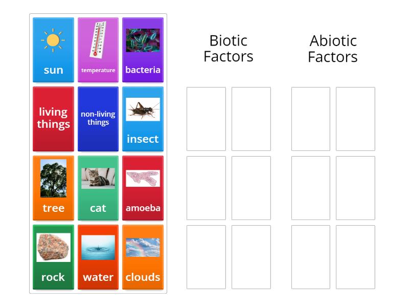 Abiotic vs Biotic Factors - Group sort