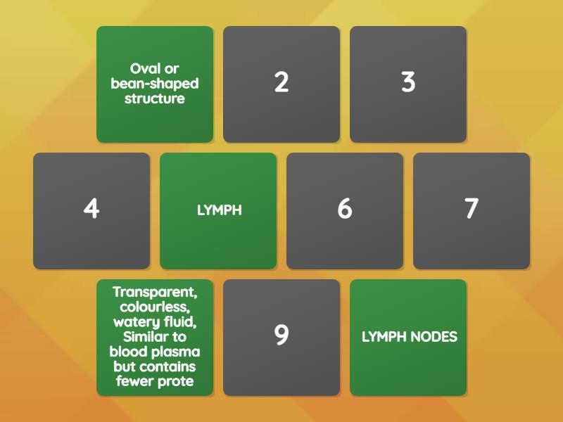 The Lymphatic system - Matching pairs