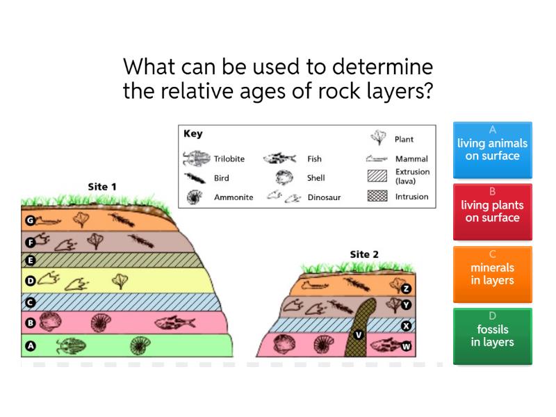 Fossils - Relative Dating - Quiz