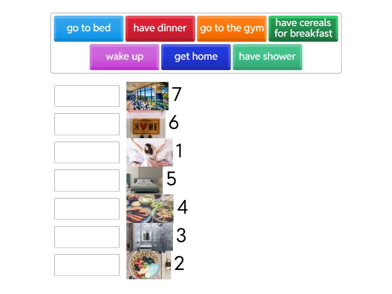 Daily Routines - Match up