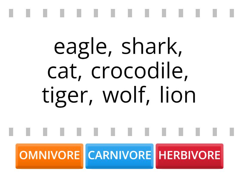 Review. Carnivore, Herbivore, Omnivore - Find the match