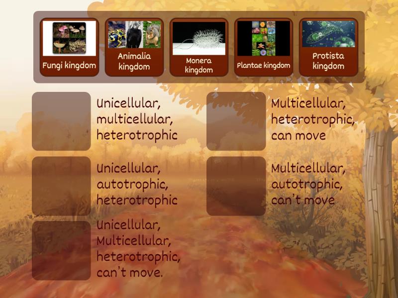 Science 4º Unit 1. Living organisms classification. - Match up