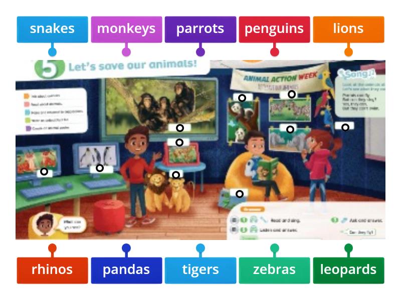 Unit 5 Let's save our animals 1 ( tercero de primaria ) - Labelled diagram
