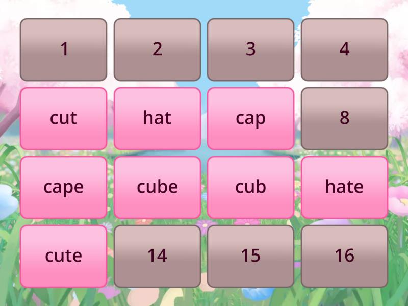 Magic E - Matching pairs