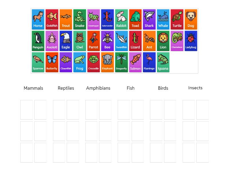 Classify the Animals - Group sort
