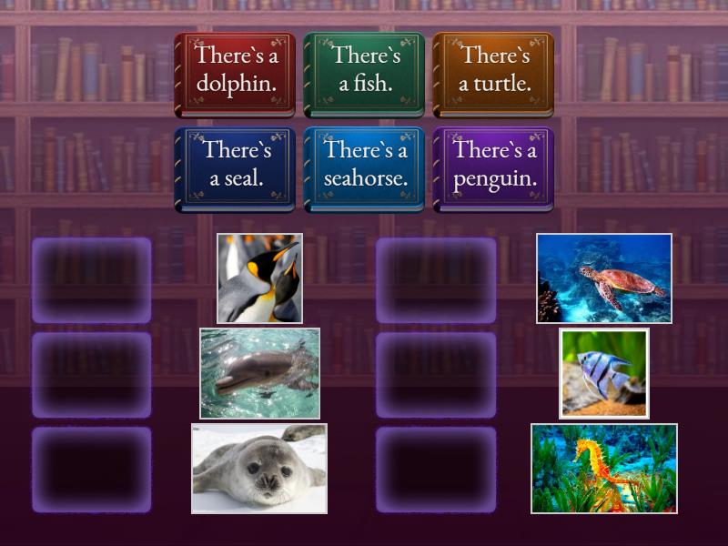 Beehive starter unit 6 - Match up