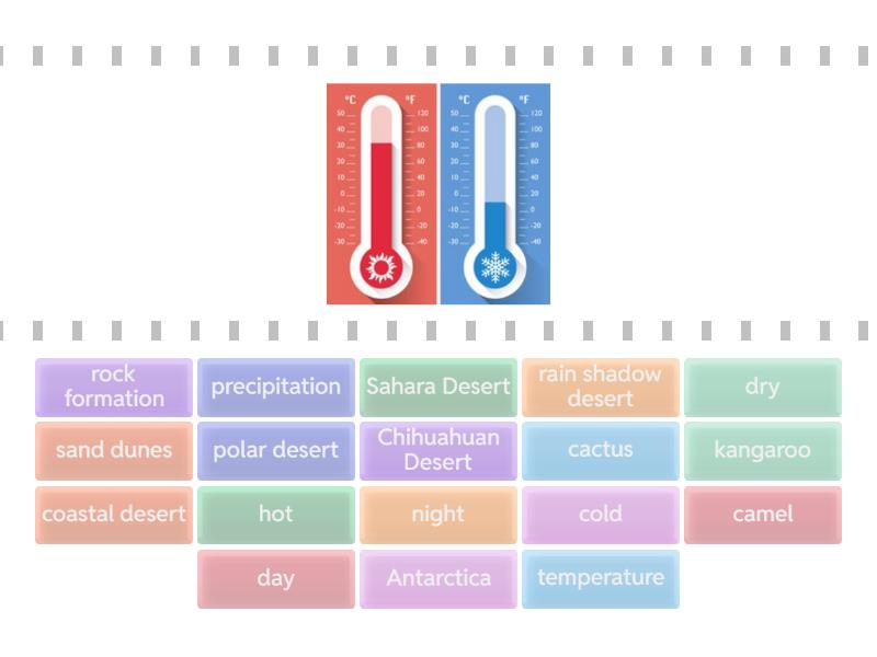 Desert Vocabulary- - Find the match