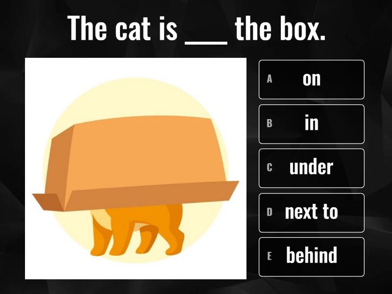 Prepositions of place | The cat & the box - Kuis