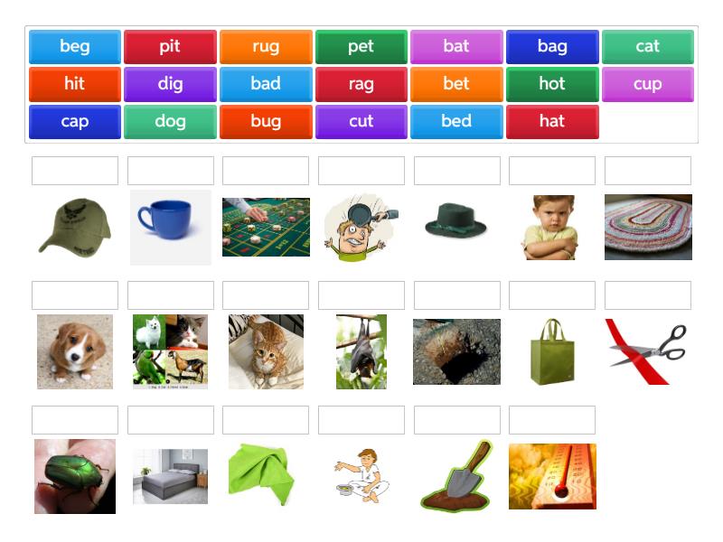 English short vowel discrimination - intermediate+ - Match up