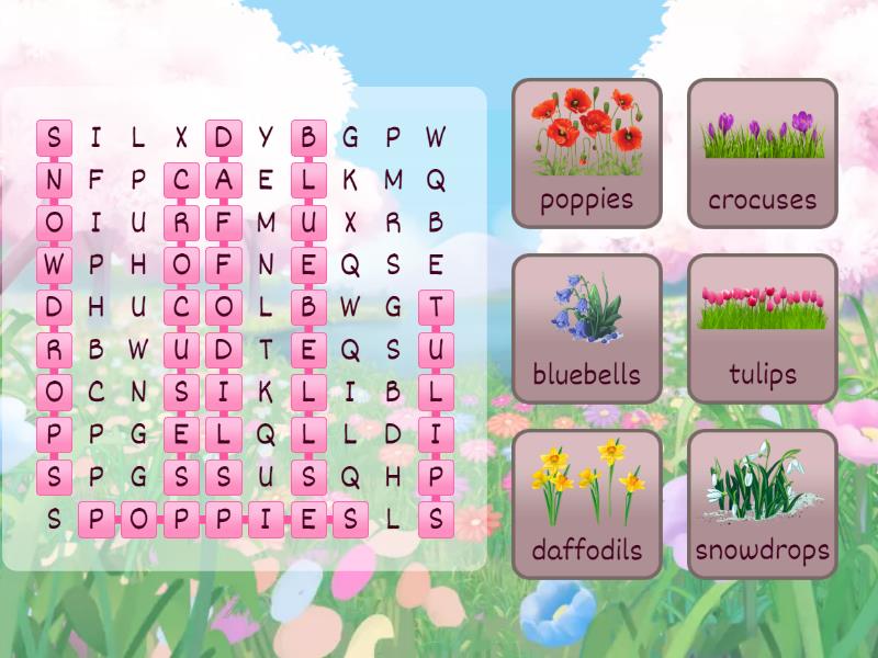 Spring Flowers (extra task) - Wordsearch