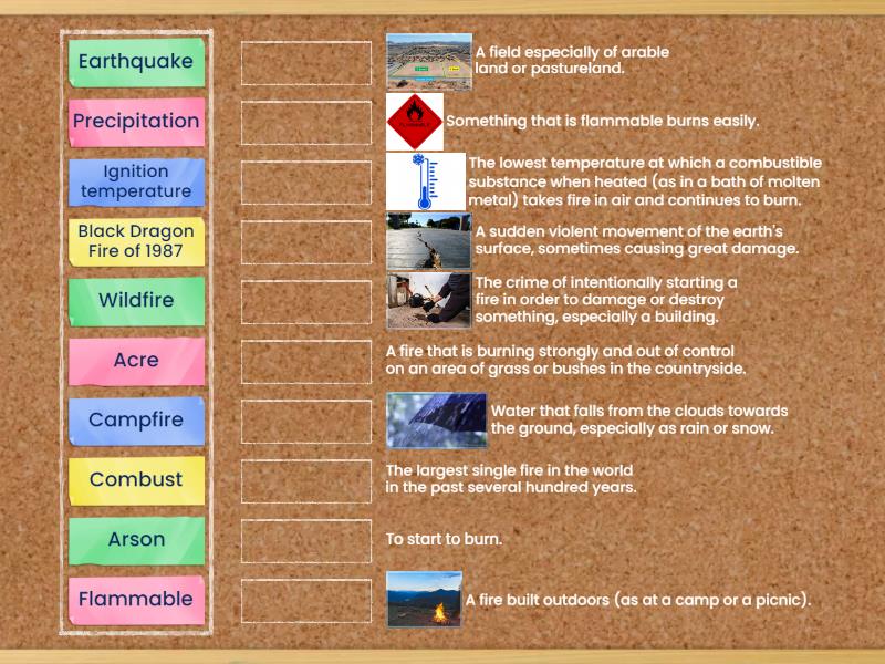 Wildfire Vocabulary - Match up