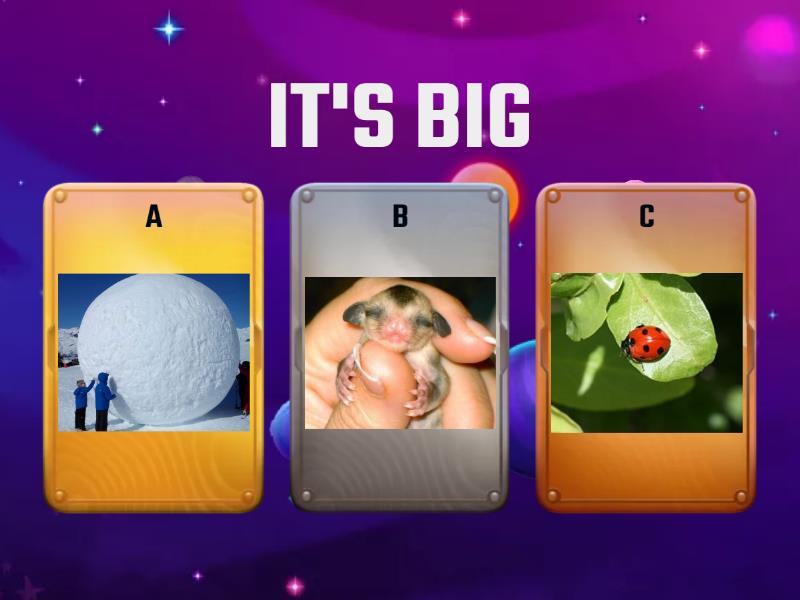 ПРОТИВОПОЛОЖНЫЕ (big/small, fast/slow, wet/dry, soft/hard) - Quiz