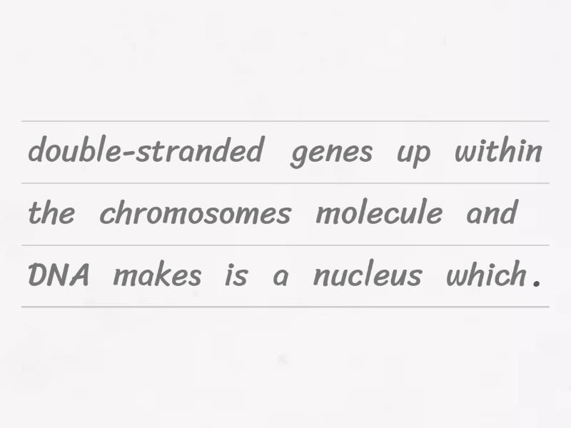 3a DNA Structure and Function Cloze Activity - Unjumble