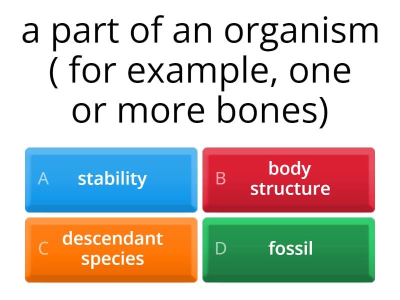 Amplify Evolutionary History Ch.1 - Quiz