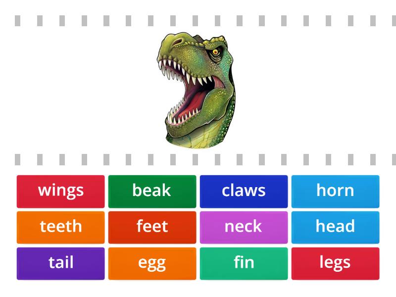 Dinosaur - vocabulary - Find the match