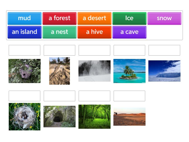 Animal habitats - Match up