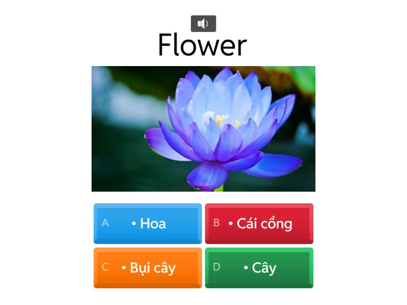 Từ vựng in the garden - Quiz